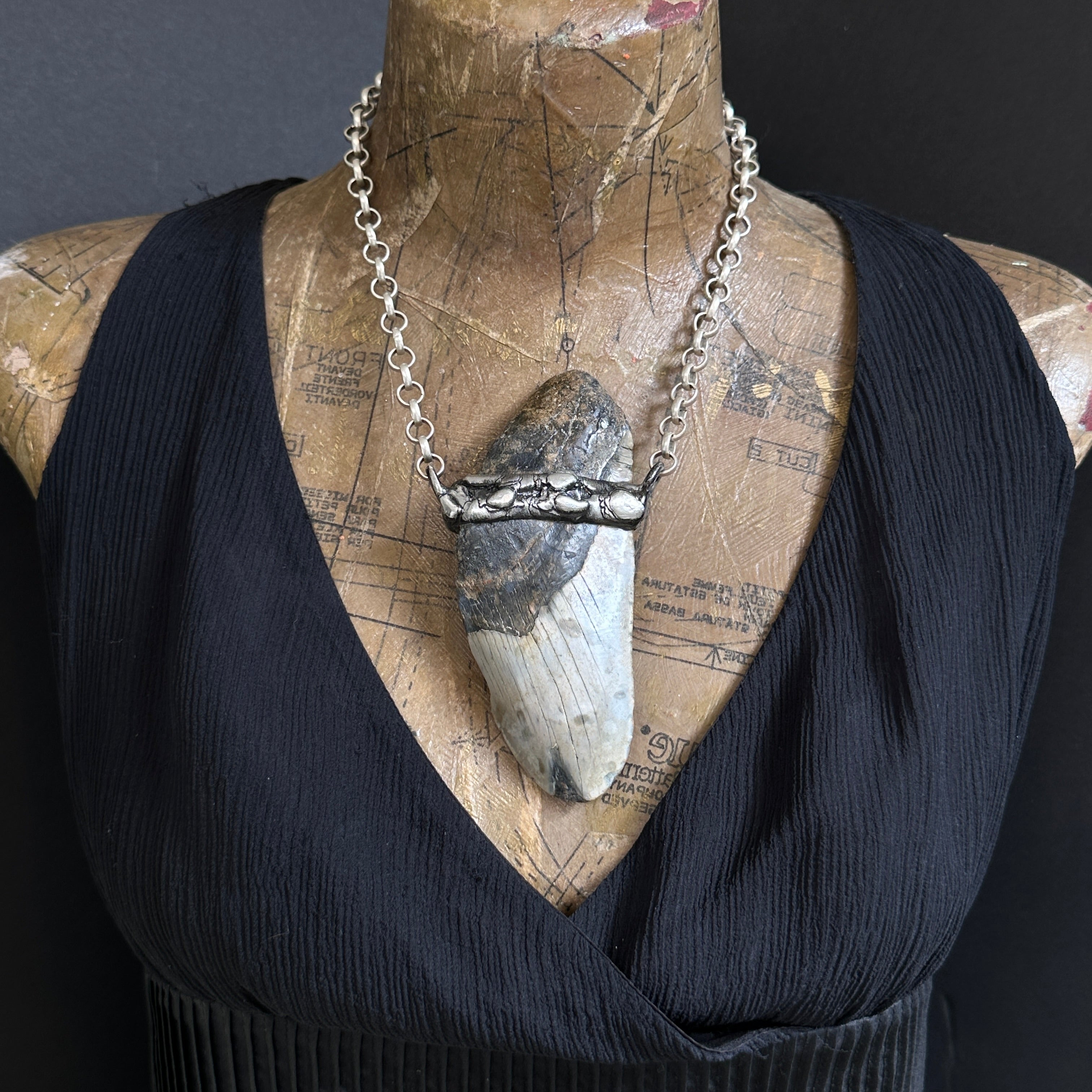 Meg ~ Megalodon Tooth Necklace – Lily In Flux