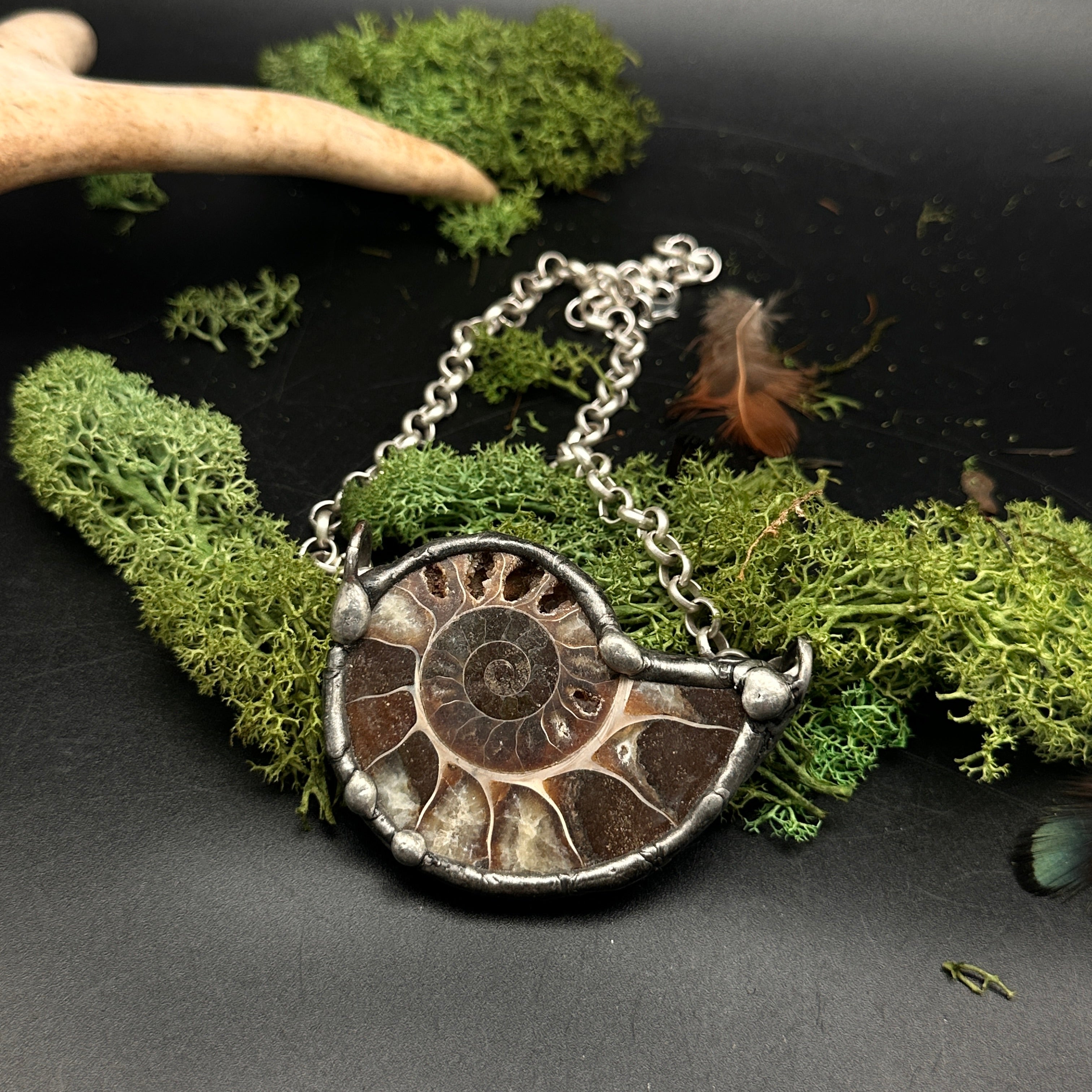 Fibonacci ~ Fossil Ammonite Necklace – Lily In Flux