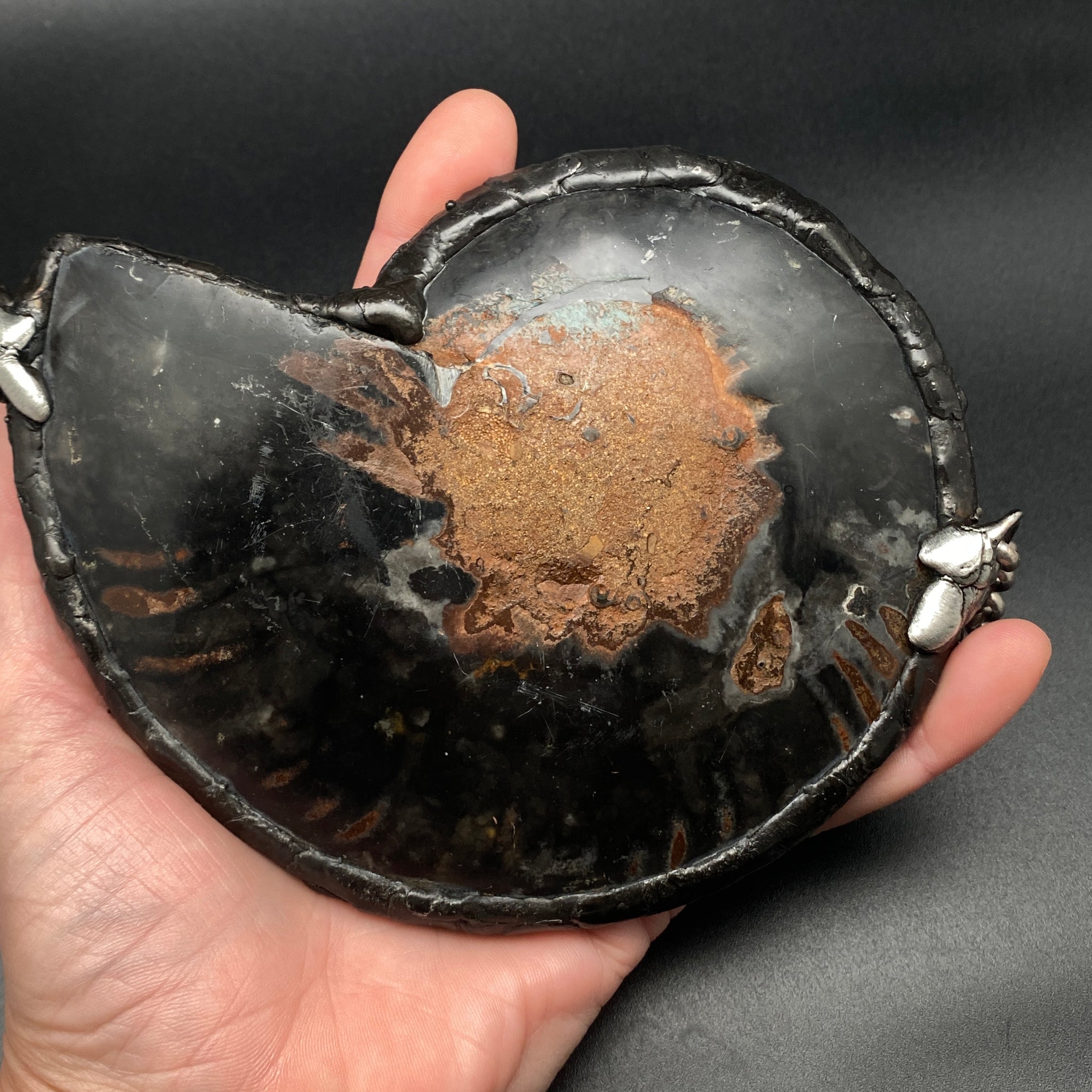 Fibonacci ~ XL Fossil Black Ammonite Necklace – Lily In Flux