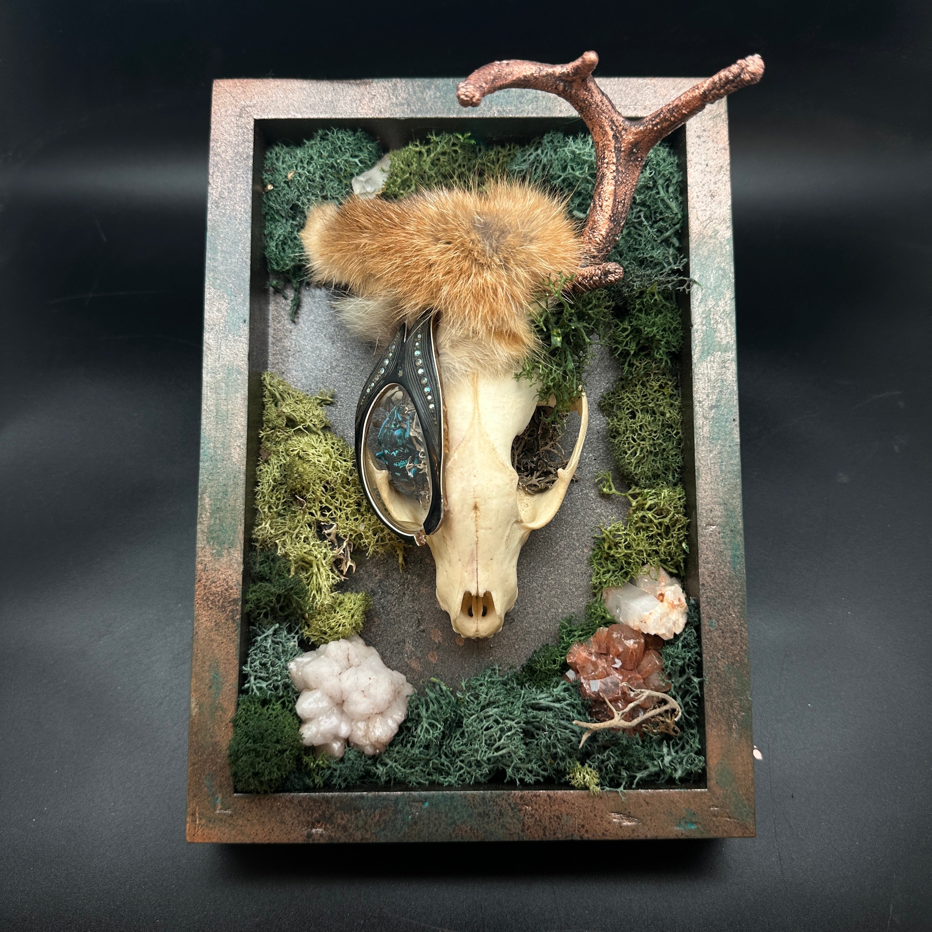 Copper Hollow ~ Skull Assemblage – Lily In Flux