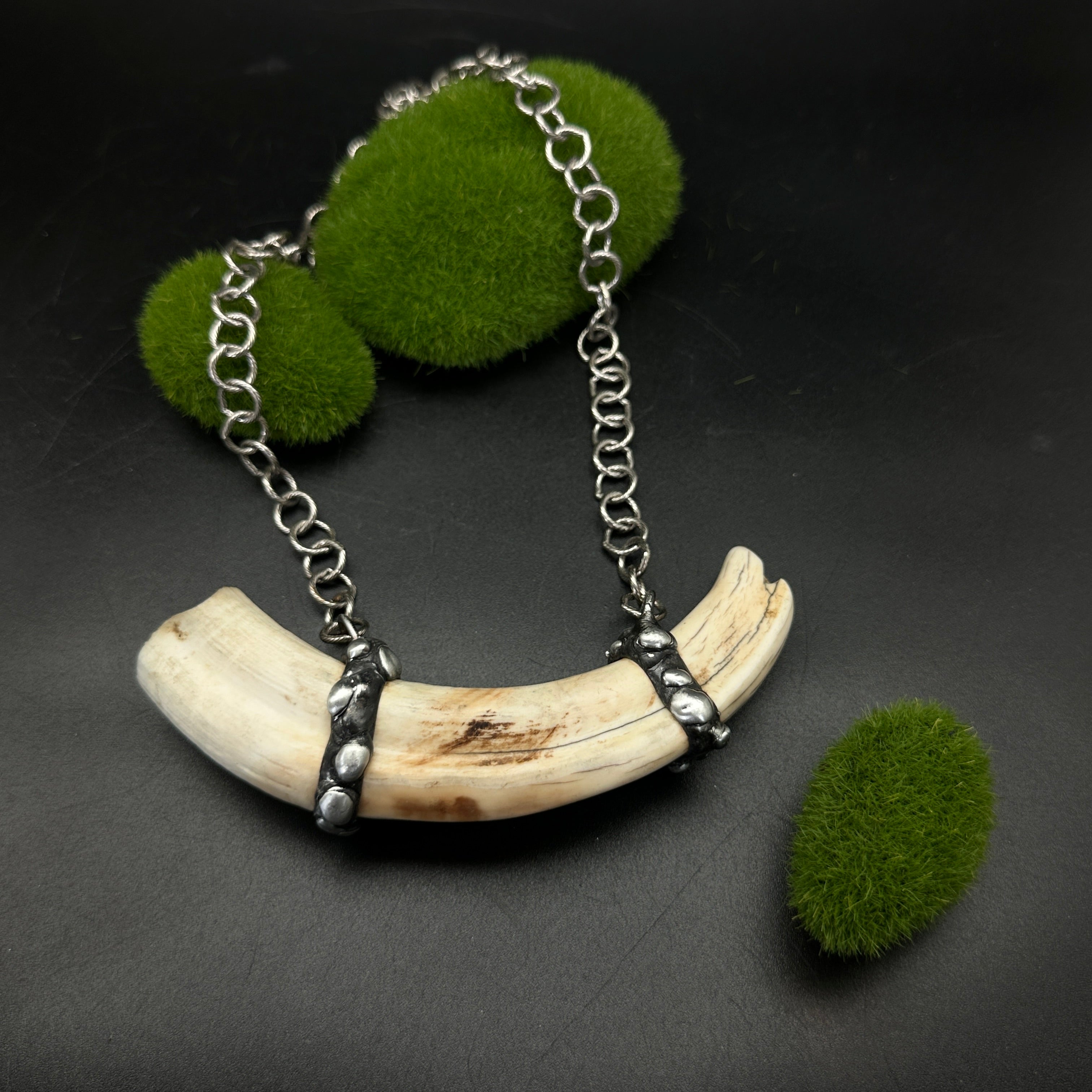 Tooth & Talisman ~ Boar Tusk Necklace – Lily In Flux