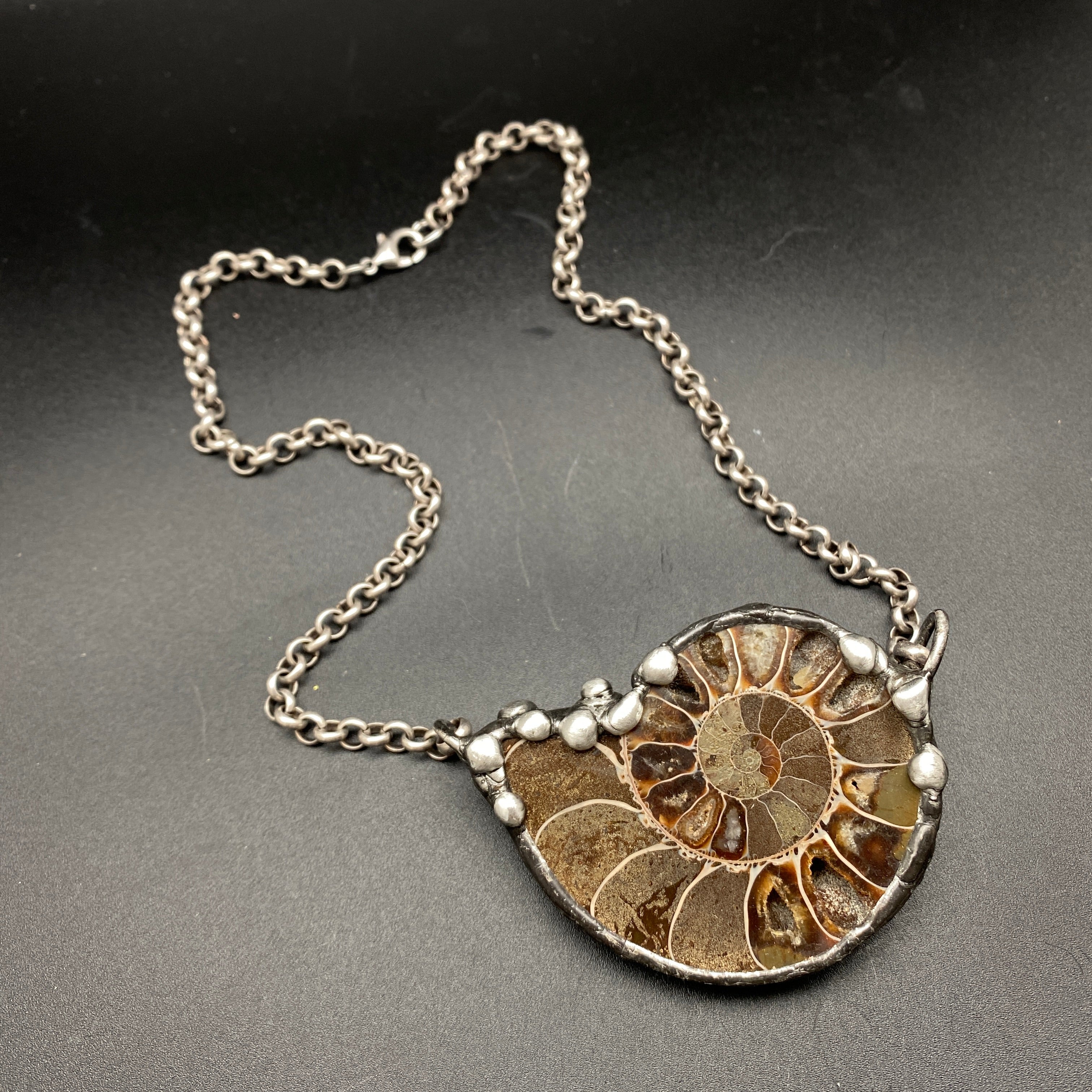 Fibonacci ~ Fossil Ammonite Necklace – Lily In Flux